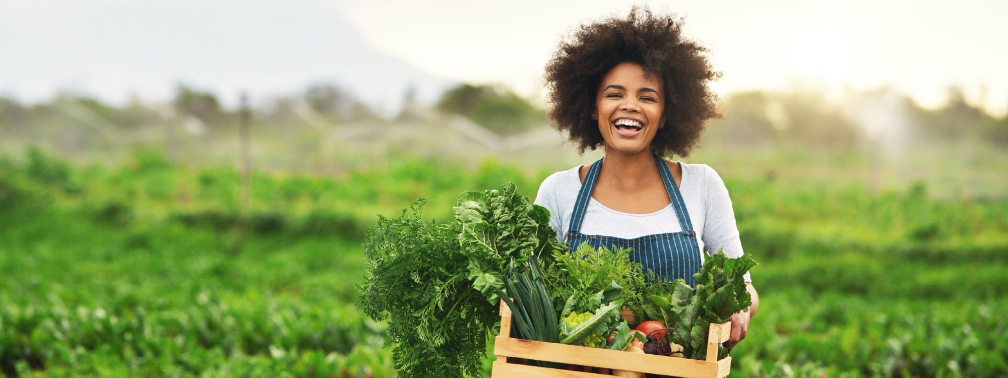 Local Kansas Farmers | Prairieland Market